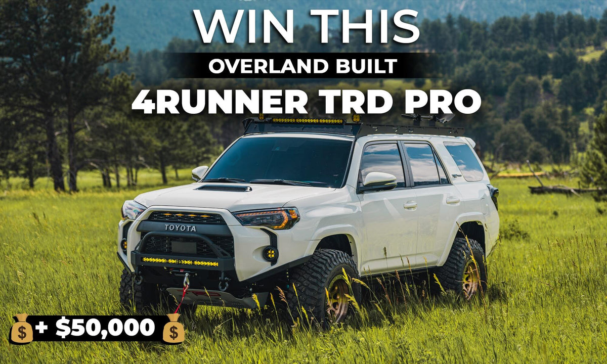 Rivals Quick Entry - ENRFORCE